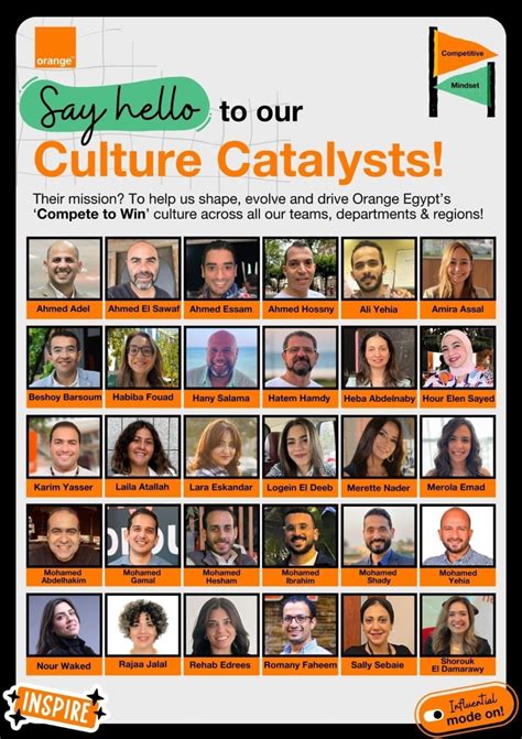 ali yehia on linkedin orangeegypt culturecatalyst teamwork