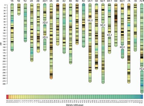 Application Of 50k Chip Based Genetic Map To Qtl Mapping Of Stem Related Traits In Wheat
