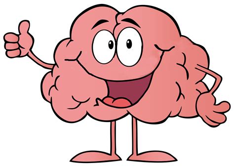 Cartoon Brain Clip Art Brain Png Download 45003214 Free