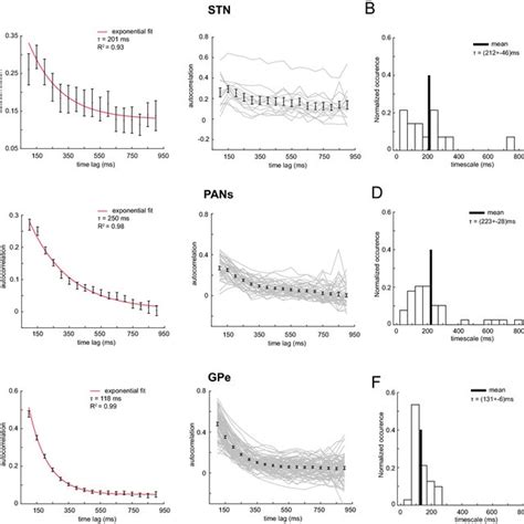 Cortical Thalamic Basal Ganglia Network Model A The Model Consists Of Download Scientific