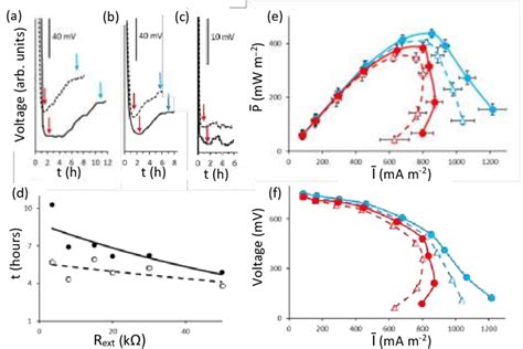Mfc Voltage After Switching From Ocv To External Resistance Of A 3 5 Download Scientific
