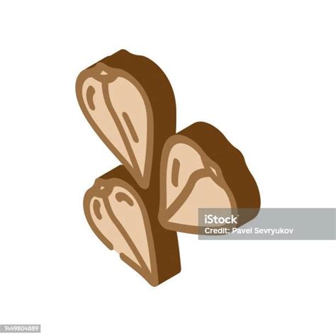메밀 곡물 건강 한 아이소 메트릭 아이콘 벡터 일러스트 레이 션 건조한에 대한 스톡 벡터 아트 및 기타 이미지 건조한 곡초류 과일 Istock