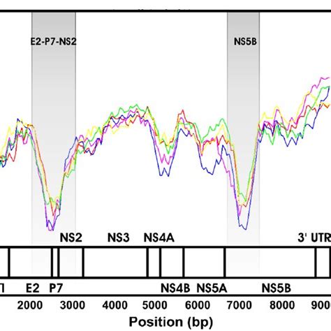 Similarity Plot Of The Genotype 3 Full Length Reference Sequence Versus Download Scientific