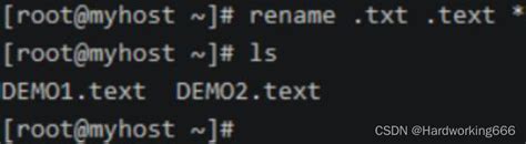 linux常用命令（ls chmod chown chgrp touch mkdir rm cp mv rename） lshfpd csdn博客