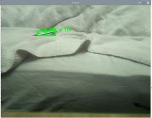 Motion Detection Using OpenCV On Raspberry Pi