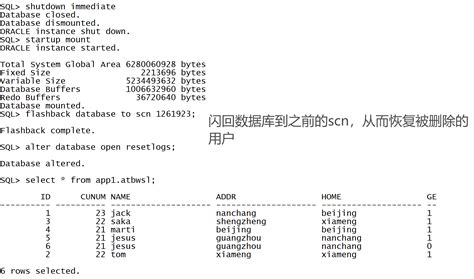 成为mysql dba后，再看oracle数据库（十一、闪回技术） 海布里 mysql 博客园