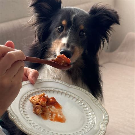 限定おまけ付き 犬 おやつ 無添加 国産 【数量限定】きなり 午後のおやつ やわらかトマトチキングリル R20204 犬用自然派