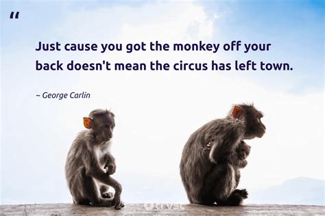 39 Monkey Quotes Full Of Primate Wisdom