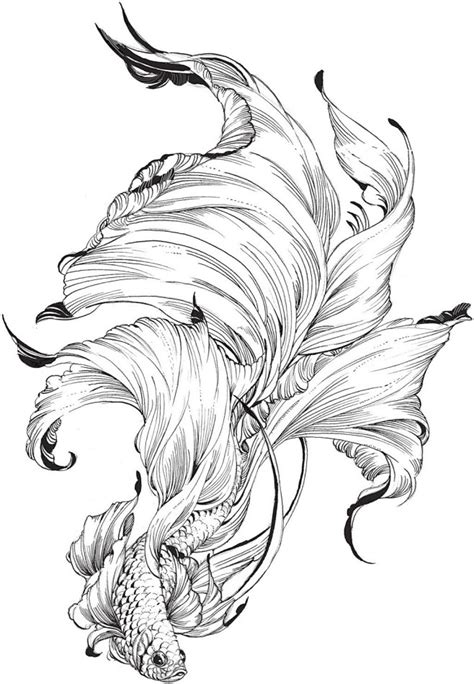 线语集：唯美线稿插画实例教程 子仪 微信读书