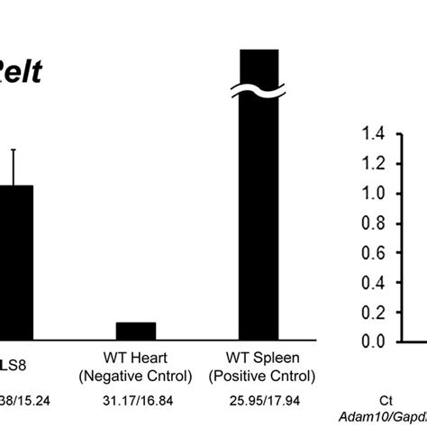 Maiko Suzuki Professor Associate Dds Phd Nova Southeastern University Florida Nsu