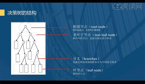 决策树模型的基本概念 SPSS数据分析入门手册 办公职场教程 SPSS21 虎课网