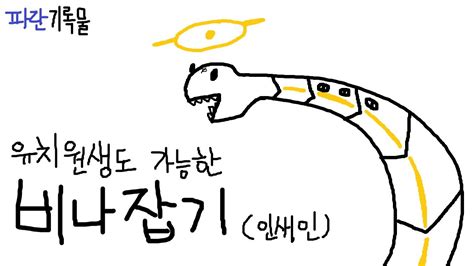 비나잡기 Youtube