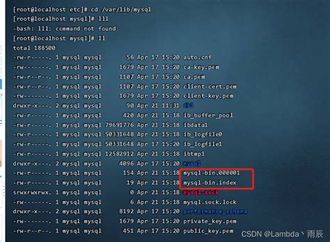 Linux系统下mysql开启二进制日志binlogmysql二进制日志打开不了 Csdn博客