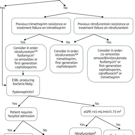Suggested Algorithm For The Treatment Of Uti In The Uk Community Likely