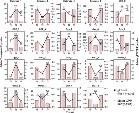 Frontiers Age Matters Life Stage Tissue And Sex Specific Gene Expression Dynamics In Ips