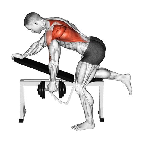 Bent Over Dumbbell Row