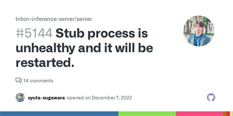 Stub Process Is Unhealthy And It Will Be Restarted Issue Triton Inference Server