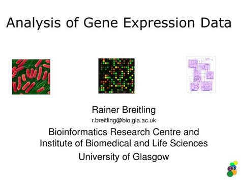 Ppt Analysis Of Gene Expression Data Powerpoint Presentation Free