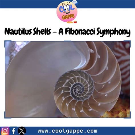 Discover The Magic Of Fibonacci Sequence In Nature