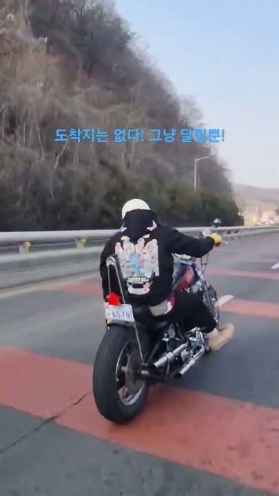 라이딩 Softailsoftailspringerspringerharleyharleydavidson할리데이비슨할리