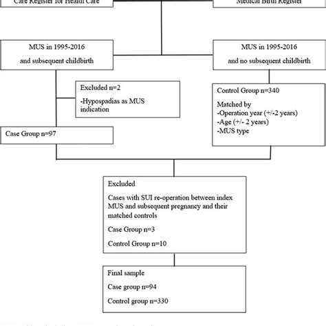 Flowchart Of Sampling Process Download Scientific Diagram