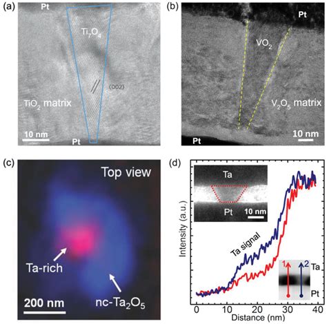Direct Observations Of Cation Migration‐based Conducting Filaments Download Scientific Diagram