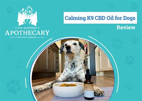 The Brothers Apothecary Calming K 9 Cbd Oil Review 2026 Affordable