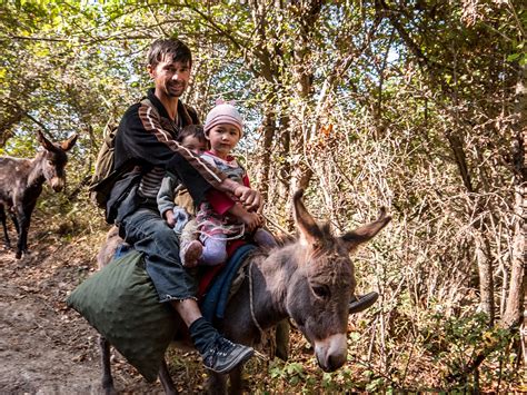 Gabriel Hemery ~ Tree Photography