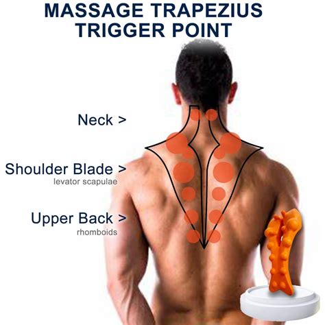 Trigger Points Stretcher Reinsho