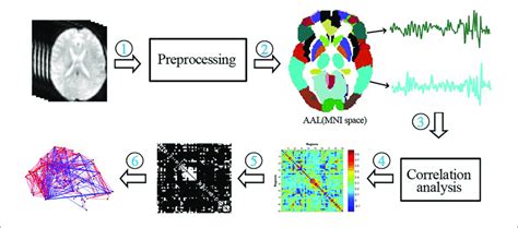 Flow Chart Of The Functional Network Analysis 1 Preprocessing Of