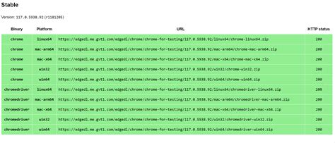 Test Automation Using Selenium ChromeDriver