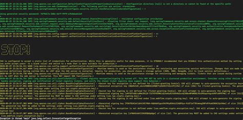 CAS SSO Docker Image Fails Caused By Tomcat Server Stack Overflow