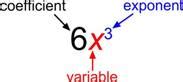 Define and Evaluate Polynomials | Intermediate Algebra