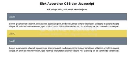 Membuat Efek Accordion Collapse Dengan Css Dan Javascript Kursus Website Terbaik