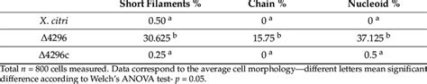 Statistics Of Morphotypes And Nucleoid Distribution Of Cells Cultivated
