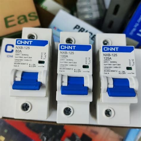 Jual Mccb Mini Chint Nxb125 1p 80a 100a 125a 10ka Chint Electric Shopee Indonesia