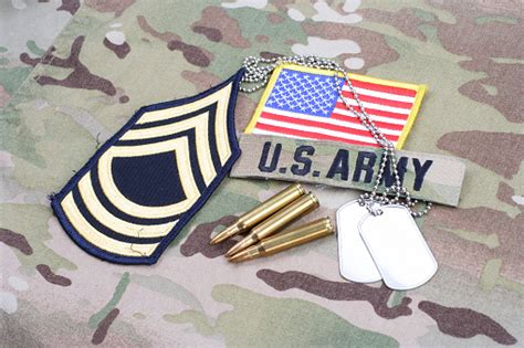 미국 육군 상사 계급 패치 556 M M와 개 태그 플래그 패치 라운드 위장 복에 개에 대한 스톡 사진 및 기타 이미지 개 개성 개념 공란 Istock