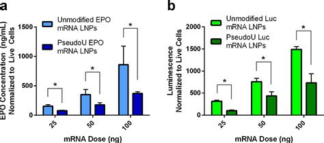 Figure 3 From Efficacy And Immunogenicity Of Unmodified And Pseudouridine Modified Mrna