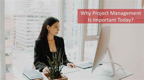 2022 Updated Why Project Management Is Important Today Master Of