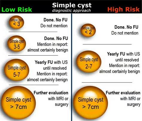 Liver Cyst Size Chart In Mm Minimalist Chart Design