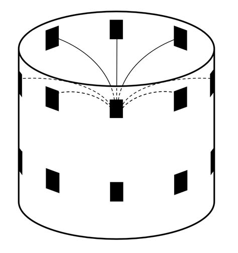 Example Of 3d Electrode Geometries With Electrodes Shown In Black A