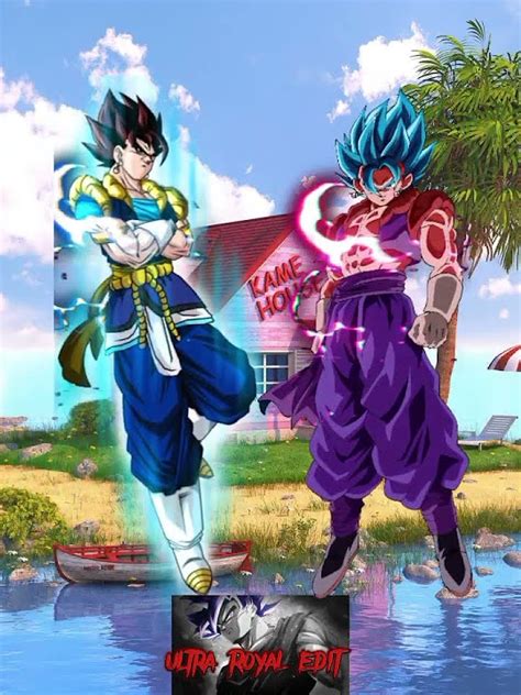 Absalon Vogito Vs Omni Gogito Youtube