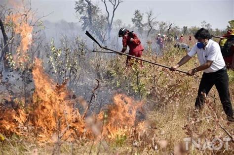 ក្រសួងបរិស្ថាន និងក្រសួងកសិកម្ម ដាក់ចេញវិធានការ ៨ចំណុច ដើម្បីការពារ និងទប់ស្កាត់ភ្លើងឆេះព្រៃ