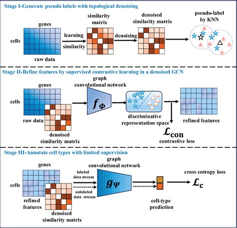 Figure 1 From Scsemigcn Boosting Cell Type Annotation From Noise