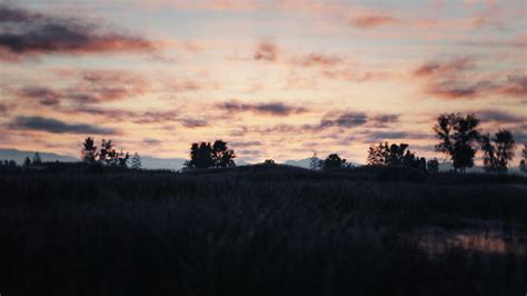 Sky Shaders Superhive Formerly Blender Market