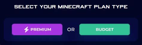 Beginners Guide To A Bisecthosting Minecraft Java Server Knowledgebase Bisecthosting