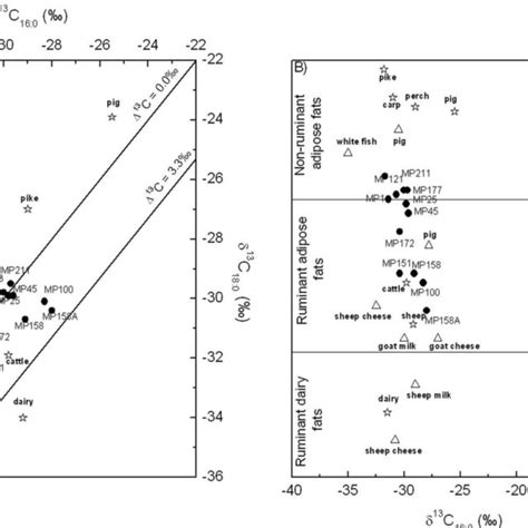 Plot showing A the δ δ C versus δ δ C values of modern Download Scientific