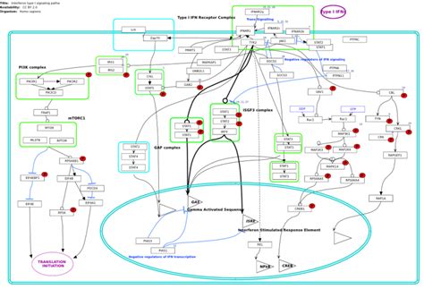 Biological Interpretation Of Gene Expression Data Functional Genomics Ii