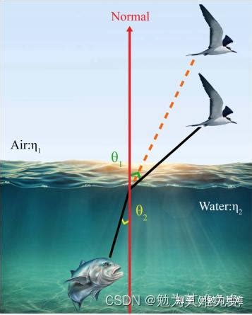 Matlab群体智能优化算法之大鲹鱼优化算法 GTO 知乎