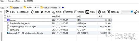 burpsuite破解使用教程 知乎